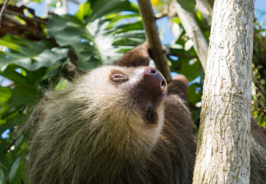 About me | Nolan Bennett